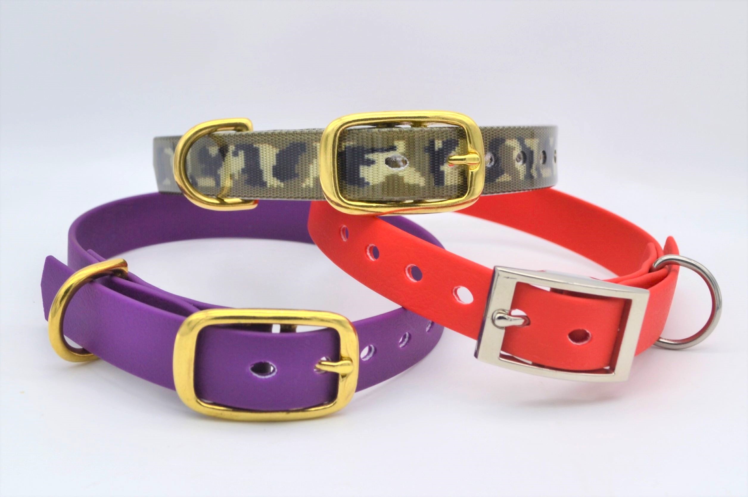 Waterproof Webbing Collars – Trendy Setters