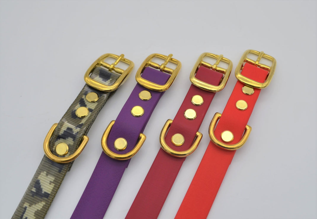 Custom Accessories for Unique Pets – Trendy Setters