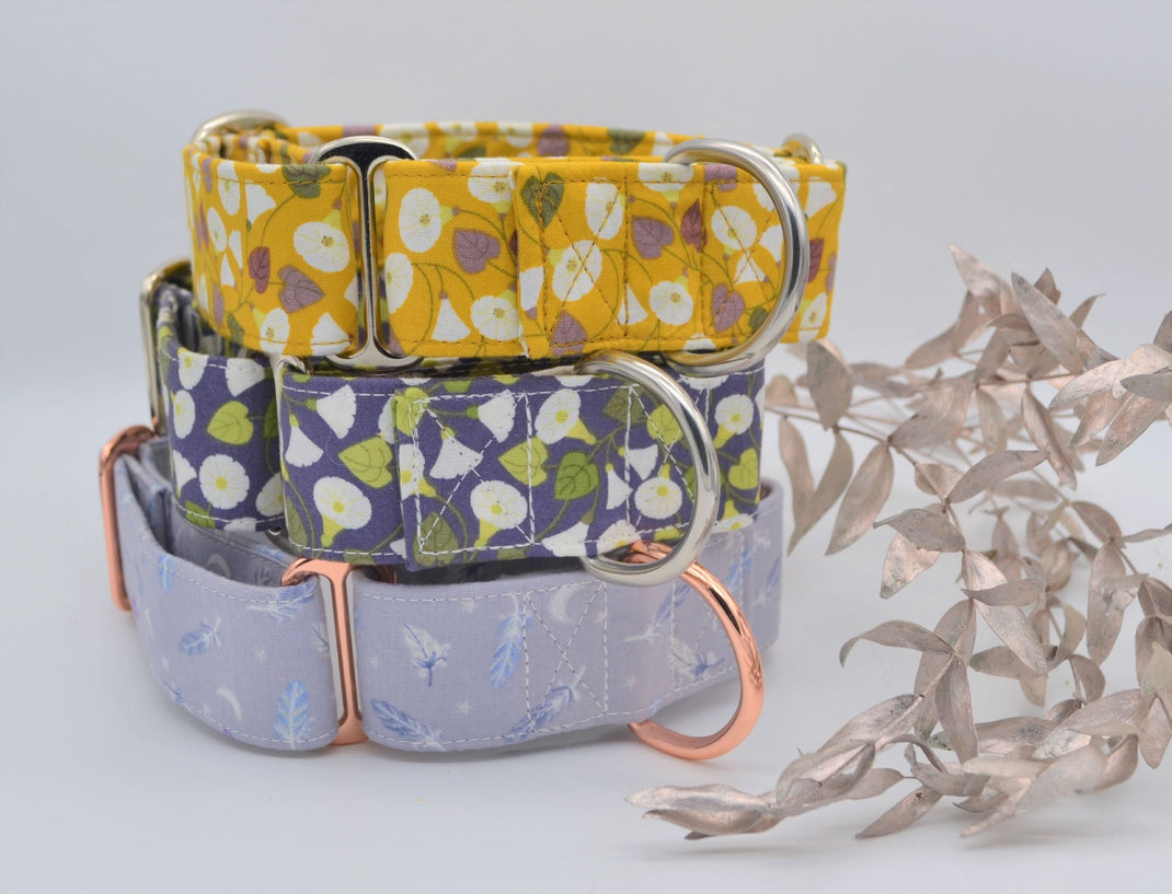 Custom Accessories for Unique Pets – Trendy Setters