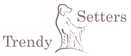 Custom Accessories for Unique Pets – Trendy Setters